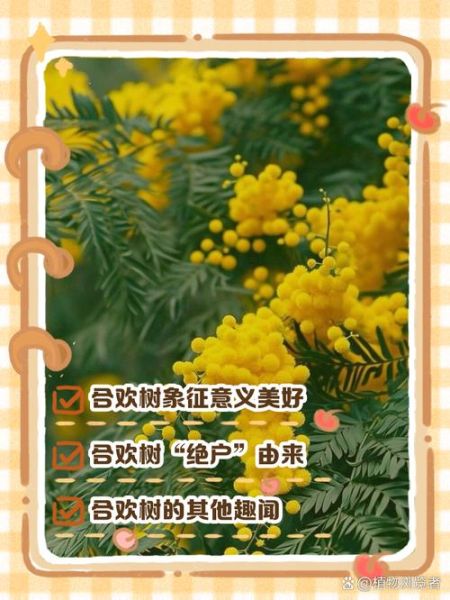 合欢树为什么叫鬼树_合欢树鬼树传说-第1张图片-山城妙识 合欢树为什么叫鬼树_合欢树鬼树传说-第1张图片-山城妙识