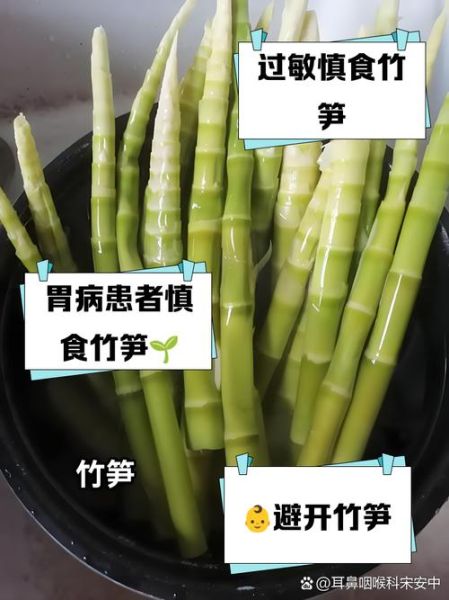 春笋没熟能吃吗_春笋中毒症状-第1张图片-山城妙识 春笋没熟能吃吗_春笋中毒症状-第1张图片-山城妙识