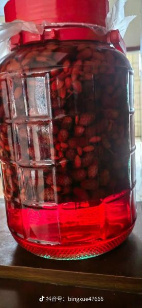 桑葚泡酒补肾多久见效_桑葚酒补肾的正确泡法-第1张图片-山城妙识 桑葚泡酒补肾多久见效_桑葚酒补肾的正确泡法-第1张图片-山城妙识