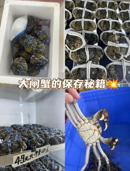大闸蟹放冰箱能活几天_大闸蟹冷藏还是冷冻-第2张图片-山城妙识 大闸蟹放冰箱能活几天_大闸蟹冷藏还是冷冻-第2张图片-山城妙识