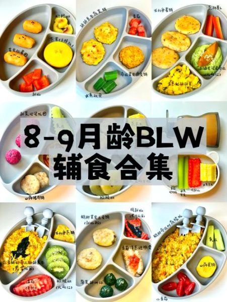 九个月宝宝辅食吃什么_九个月宝宝辅食食谱推荐-第1张图片-山城妙识