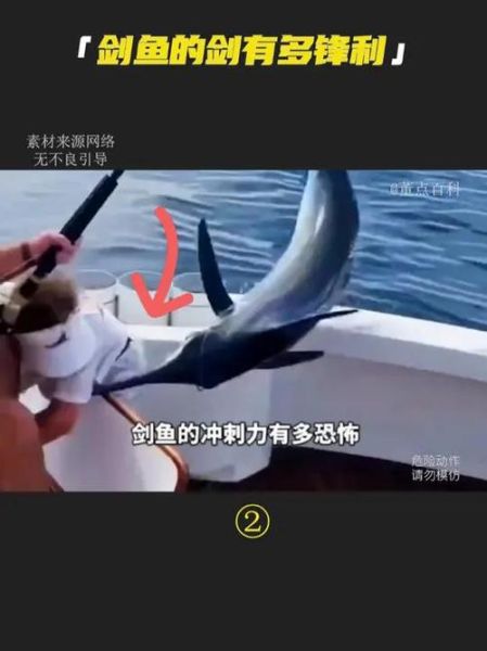 剑鱼行动真实事件_历史背景与影响-第2张图片-山城妙识 剑鱼行动真实事件_历史背景与影响-第2张图片-山城妙识