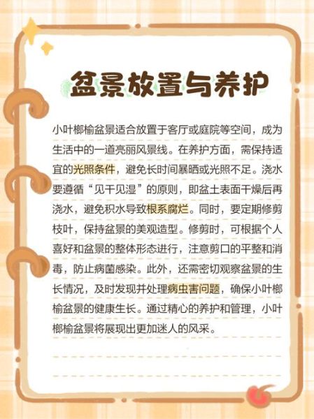 榔榆树图片_榔榆树盆景怎么养-第1张图片-山城妙识 榔榆树图片_榔榆树盆景怎么养-第1张图片-山城妙识