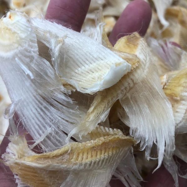 人造鱼翅是什么做的_人造鱼翅有营养吗-第2张图片-山城妙识