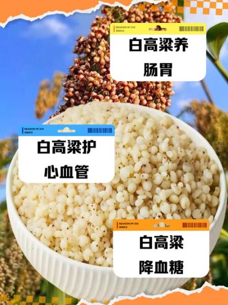 高粱米降血糖吗_高粱米怎么吃最营养-第1张图片-山城妙识 高粱米降血糖吗_高粱米怎么吃最营养-第1张图片-山城妙识