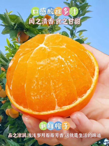 橙子图片素材哪里找_如何挑选高清商用图-第2张图片-山城妙识 橙子图片素材哪里找_如何挑选高清商用图-第2张图片-山城妙识