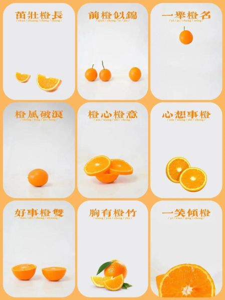 橙子图片素材哪里找_如何挑选高清商用图-第1张图片-山城妙识 橙子图片素材哪里找_如何挑选高清商用图-第1张图片-山城妙识