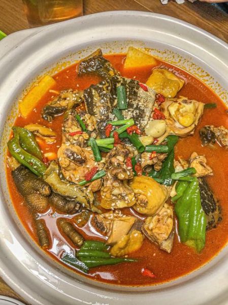 甲鱼和什么一起炖好吃_甲鱼炖汤最佳搭配-第2张图片-山城妙识