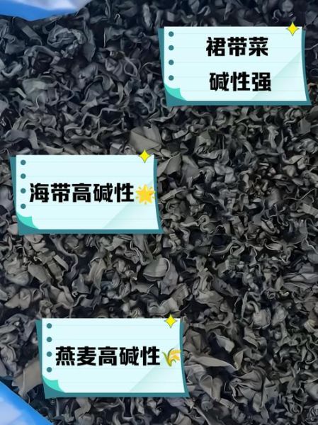 碱性最高的食物有哪些_碱性食物排行榜-第3张图片-山城妙识 碱性最高的食物有哪些_碱性食物排行榜-第3张图片-山城妙识