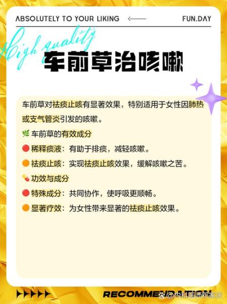 女人喝车前草有什么好处_车前草对女性功效-第2张图片-山城妙识 女人喝车前草有什么好处_车前草对女性功效-第2张图片-山城妙识