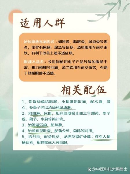 女人喝车前草有什么好处_车前草对女性功效-第3张图片-山城妙识 女人喝车前草有什么好处_车前草对女性功效-第3张图片-山城妙识