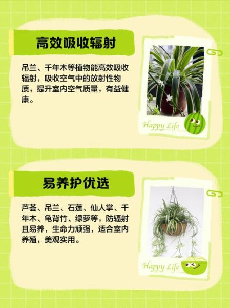 防辐射的植物盆栽有哪些_如何挑选防辐射盆栽-第1张图片-山城妙识 防辐射的植物盆栽有哪些_如何挑选防辐射盆栽-第1张图片-山城妙识