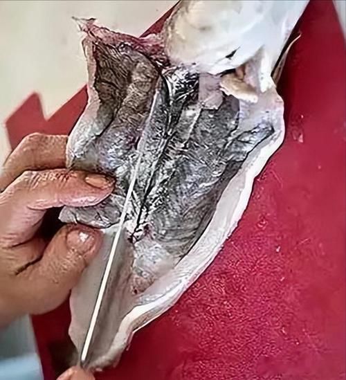 鱼肚子里的黑膜是什么_吃了有害吗-第1张图片-山城妙识