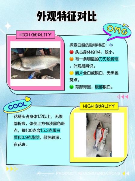 白鲢和花鲢鱼的区别_哪个更好吃-第2张图片-山城妙识 白鲢和花鲢鱼的区别_哪个更好吃-第2张图片-山城妙识