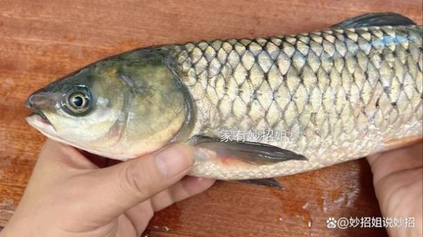 鱼肚子里的黑膜是什么_吃了有害吗-第2张图片-山城妙识