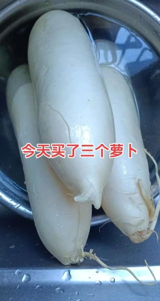 甜萝卜怎么腌制_甜萝卜腌制方法-第3张图片-山城妙识 甜萝卜怎么腌制_甜萝卜腌制方法-第3张图片-山城妙识