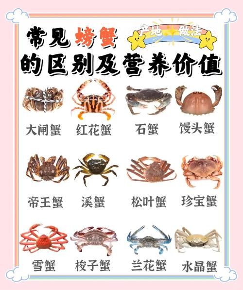 螃蟹养殖技术_螃蟹养殖常见问题-第3张图片-山城妙识 螃蟹养殖技术_螃蟹养殖常见问题-第3张图片-山城妙识