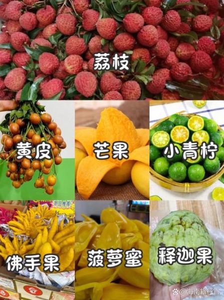 海南十大特产有哪些_海南特产送人买什么好-第2张图片-山城妙识 海南十大特产有哪些_海南特产送人买什么好-第2张图片-山城妙识
