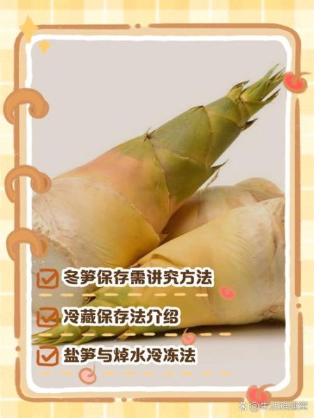 冬笋怎么保存不会坏_冬笋可以放冰箱多久-第2张图片-山城妙识