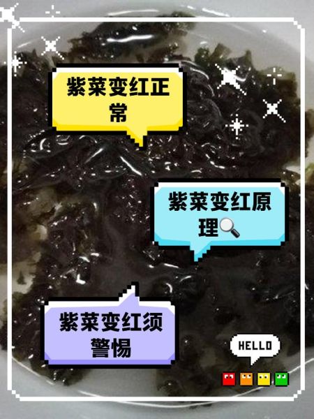 天天吃紫菜两个月后变化_紫菜长期吃有什么副作用-第1张图片-山城妙识 天天吃紫菜两个月后变化_紫菜长期吃有什么副作用-第1张图片-山城妙识