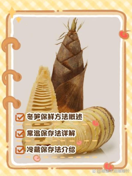 冬笋怎么保存不会坏_冬笋可以放冰箱多久-第3张图片-山城妙识