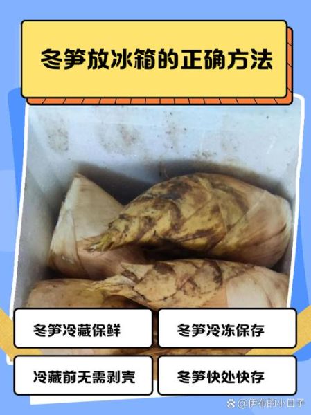 冬笋怎么保存不会坏_冬笋可以放冰箱多久-第1张图片-山城妙识