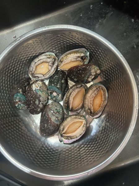 葱油鲍鱼怎么做_家常做法步骤详解-第3张图片-山城妙识 葱油鲍鱼怎么做_家常做法步骤详解-第3张图片-山城妙识