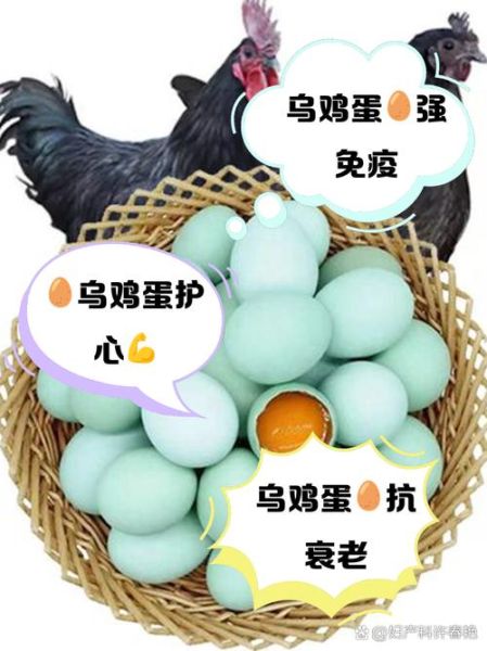 乌鸡蛋怎么煮好吃_乌鸡蛋的营养价值-第2张图片-山城妙识 乌鸡蛋怎么煮好吃_乌鸡蛋的营养价值-第2张图片-山城妙识