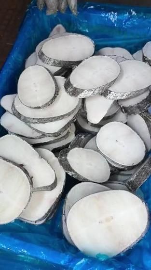 银雪鱼活鱼怎么挑选_银雪鱼活鱼价格多少钱一斤-第2张图片-山城妙识 银雪鱼活鱼怎么挑选_银雪鱼活鱼价格多少钱一斤-第2张图片-山城妙识