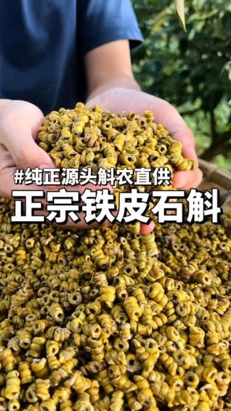 正宗铁皮石斛多少钱一斤_如何辨别真假-第3张图片-山城妙识 正宗铁皮石斛多少钱一斤_如何辨别真假-第3张图片-山城妙识