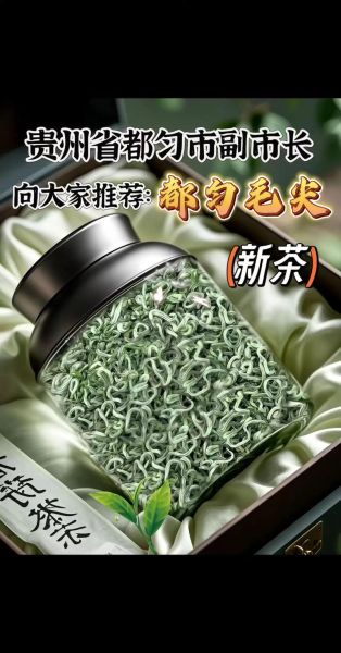 毛尖茶叶多少钱一斤_正宗毛尖价格区间-第3张图片-山城妙识 毛尖茶叶多少钱一斤_正宗毛尖价格区间-第3张图片-山城妙识