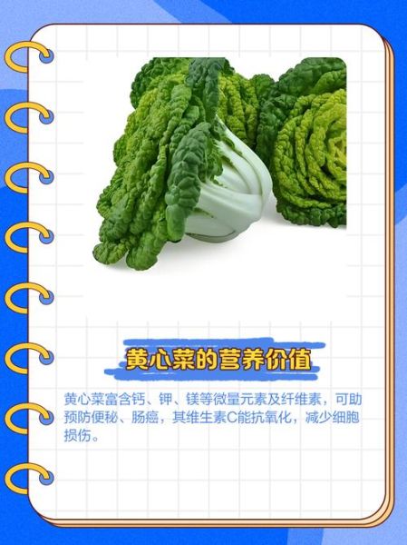 菜心怎么炒不会发黄_菜心发黄的原因-第1张图片-山城妙识 菜心怎么炒不会发黄_菜心发黄的原因-第1张图片-山城妙识