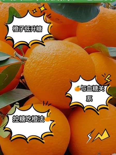 橙子含糖量高吗_糖尿病人能吃橙子吗-第1张图片-山城妙识 橙子含糖量高吗_糖尿病人能吃橙子吗-第1张图片-山城妙识