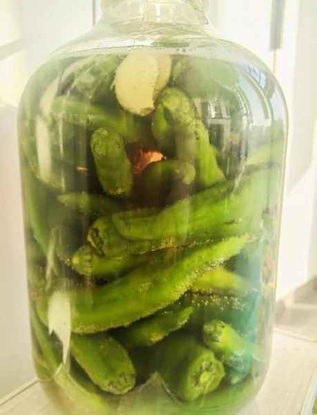 青辣椒怎么腌好吃又脆_腌制青辣椒的秘诀-第1张图片-山城妙识 青辣椒怎么腌好吃又脆_腌制青辣椒的秘诀-第1张图片-山城妙识