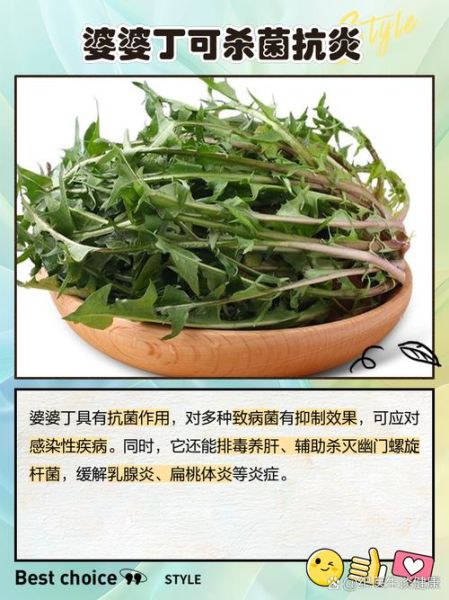 婆婆丁泡水有什么好处_婆婆丁泡水能天天喝吗-第2张图片-山城妙识 婆婆丁泡水有什么好处_婆婆丁泡水能天天喝吗-第2张图片-山城妙识