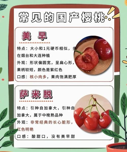 车厘子有什么功效_车厘子一天吃多少合适-第3张图片-山城妙识 车厘子有什么功效_车厘子一天吃多少合适-第3张图片-山城妙识