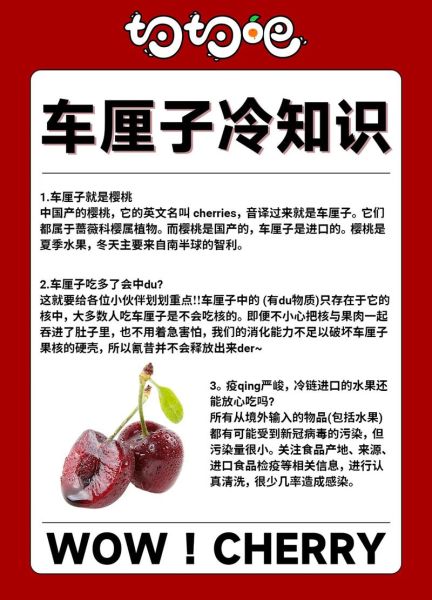 车厘子有什么功效_车厘子一天吃多少合适-第2张图片-山城妙识 车厘子有什么功效_车厘子一天吃多少合适-第2张图片-山城妙识