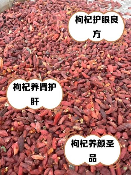 枸杞子泡水喝壮阳吗_多长时间见效-第2张图片-山城妙识 枸杞子泡水喝壮阳吗_多长时间见效-第2张图片-山城妙识