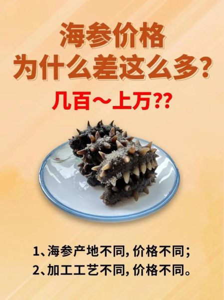 海参多少钱一斤_海参价格表2024最新行情-第1张图片-山城妙识 海参多少钱一斤_海参价格表2024最新行情-第1张图片-山城妙识