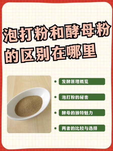 酵母粉的作用与功效_酵母粉可以减肥吗-第2张图片-山城妙识