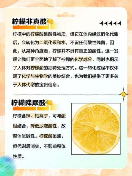柠檬是酸性食物还是碱性食物_柠檬在体内代谢后呈什么性-第1张图片-山城妙识