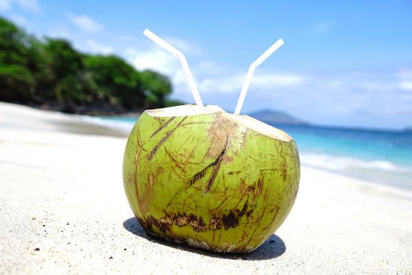 椰子图片怎么拍好看_椰子图片高清素材去哪找-第1张图片-山城妙识 椰子图片怎么拍好看_椰子图片高清素材去哪找-第1张图片-山城妙识