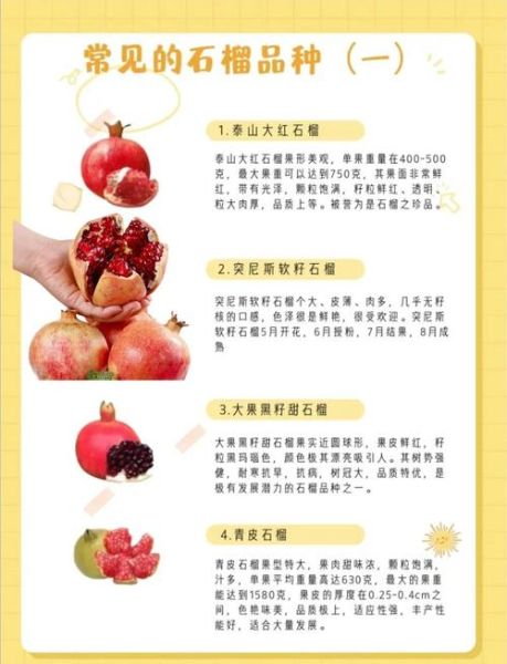 石榴的药用价值有哪些_石榴的功效与作用及禁忌-第1张图片-山城妙识 石榴的药用价值有哪些_石榴的功效与作用及禁忌-第1张图片-山城妙识