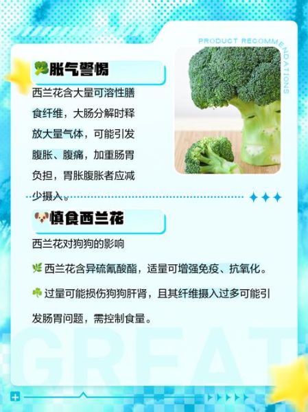 西兰花吃多了有什么坏处_哪些人不能吃西兰花-第1张图片-山城妙识