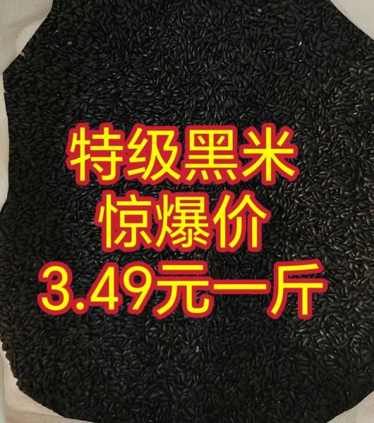 脱皮绿豆批发价格多少钱一斤_脱皮绿豆批发厂家怎么选-第1张图片-山城妙识 脱皮绿豆批发价格多少钱一斤_脱皮绿豆批发厂家怎么选-第1张图片-山城妙识