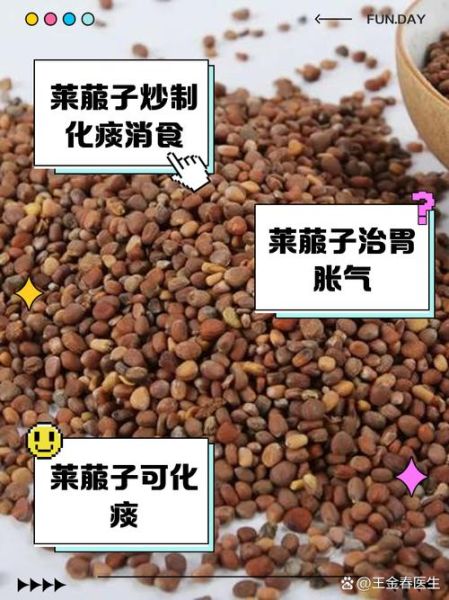炒莱菔子功效与作用_炒莱菔子怎么吃效果好-第2张图片-山城妙识 炒莱菔子功效与作用_炒莱菔子怎么吃效果好-第2张图片-山城妙识