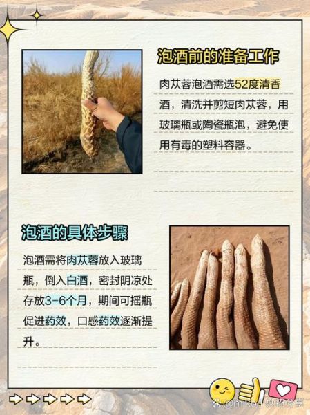 肉苁蓉泡酒配方比例_肉苁蓉泡酒多久能喝-第1张图片-山城妙识 肉苁蓉泡酒配方比例_肉苁蓉泡酒多久能喝-第1张图片-山城妙识