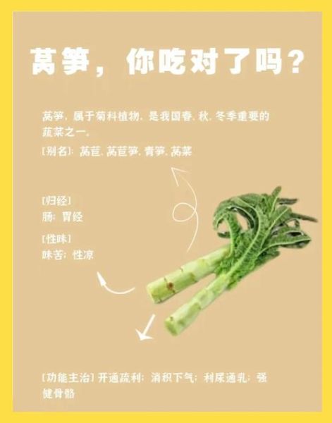 莴苣和莴笋的区别_莴苣和莴笋怎么区分-第1张图片-山城妙识