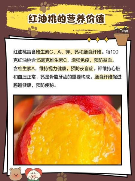 油桃的营养价值及功效与作用_油桃吃了会上火吗-第2张图片-山城妙识