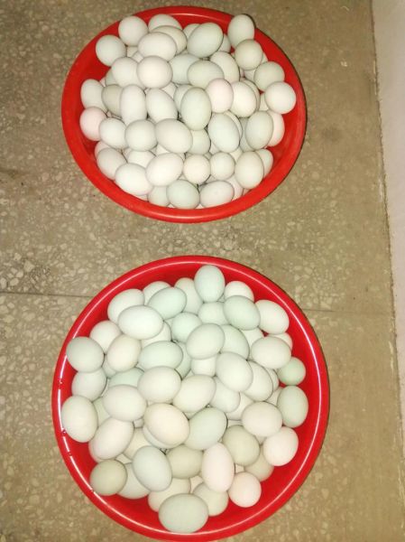 咸鸭蛋怎么腌制才出油好吃不咸_家庭实用技巧-第2张图片-山城妙识 咸鸭蛋怎么腌制才出油好吃不咸_家庭实用技巧-第2张图片-山城妙识